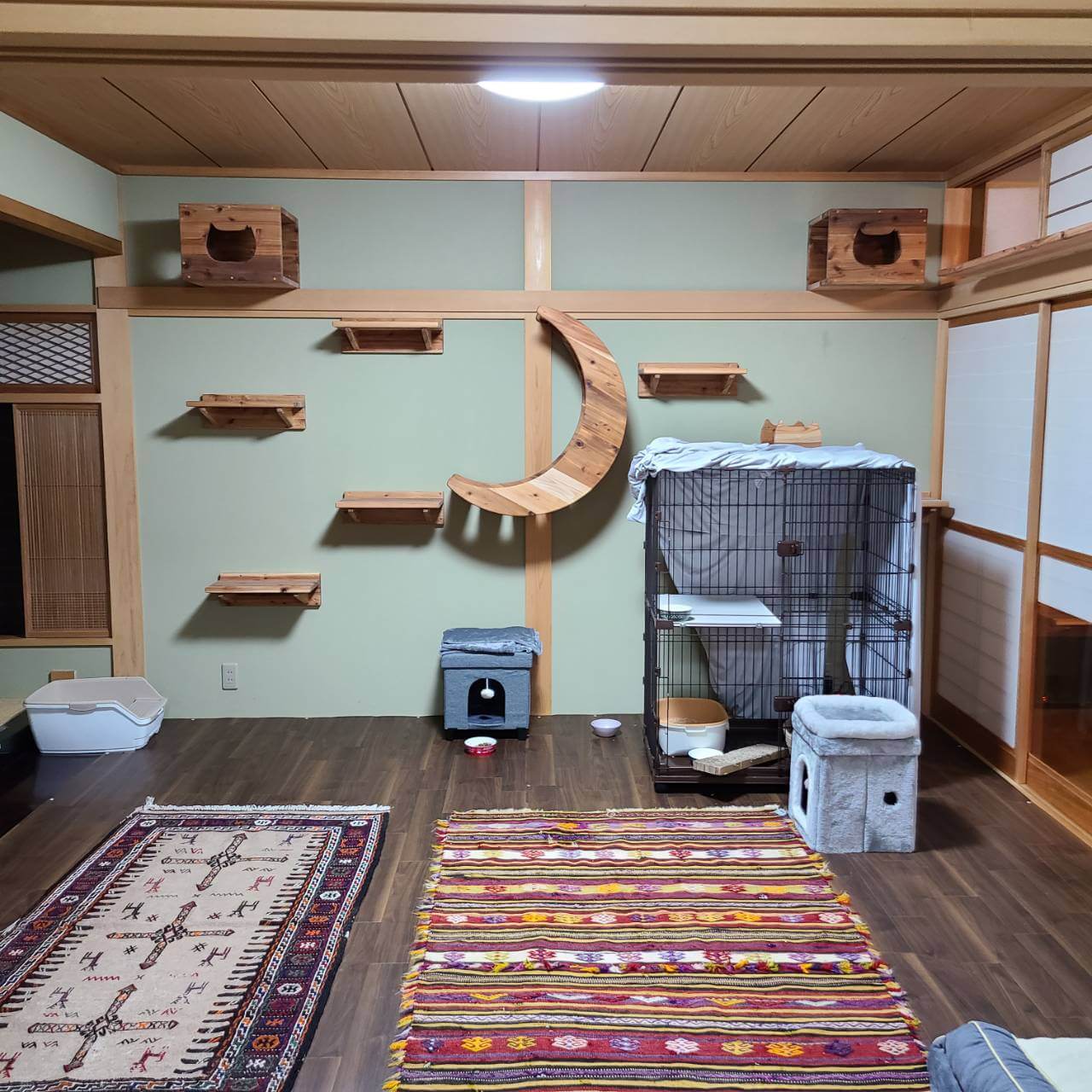 SAVE THE CAT HIDAシェルター ネコリパブリック飛騨 | ネコリパブリック｜日本の猫の殺処分をゼロに！